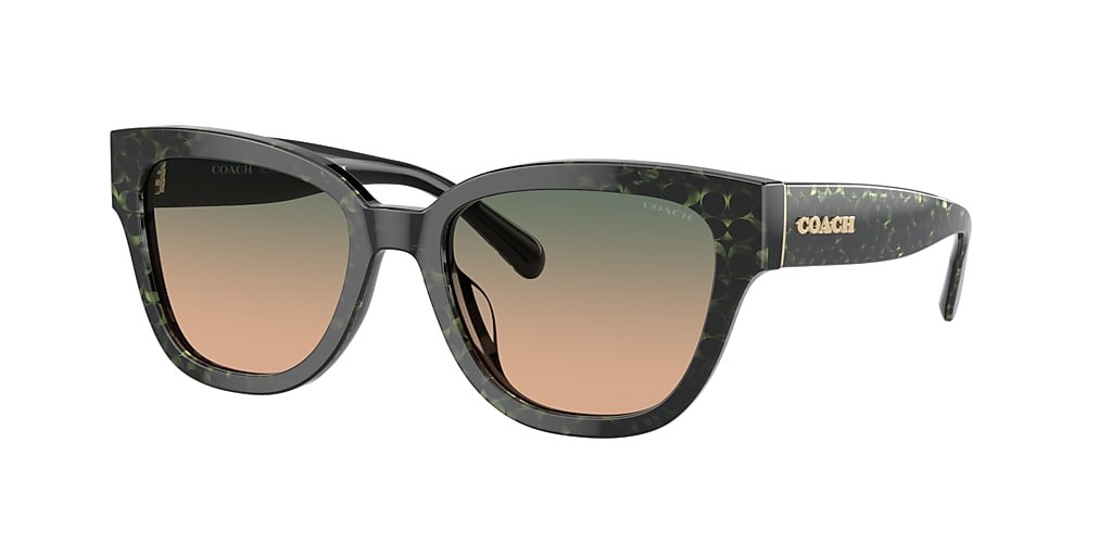 Coach HC8379U CL920 54 Green & Emerald Pearl Signature C Sunglasses ...