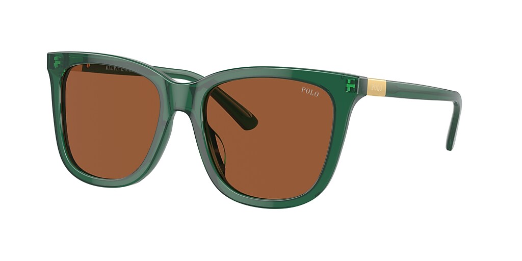 Polo Ralph Lauren PH4201U 55 Brown & Shiny Transparent Green Sunglasses ...