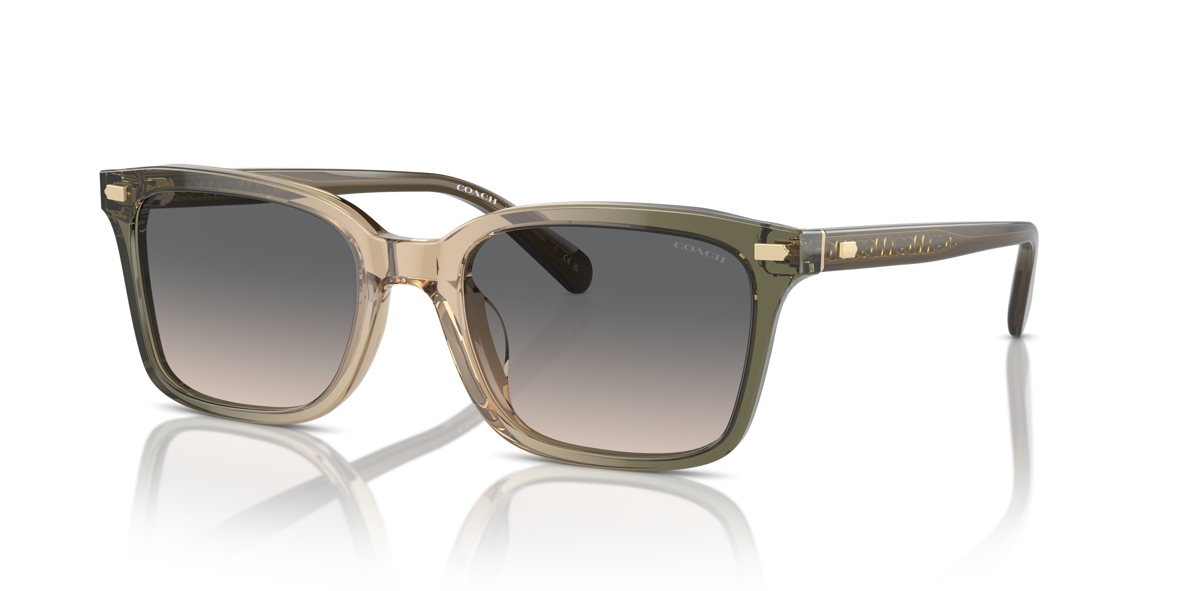 Coach HC8398U CR630 M (54 - 20) con Cristales Gris y Montura Verde ...