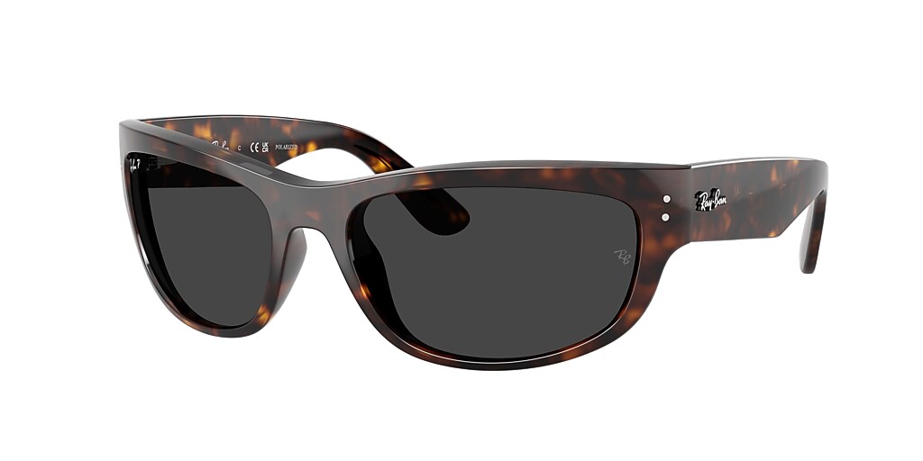 Ray-Ban RB2289 Mega Balorama 60 Negro Polarizado & Havana Polarizadas ...