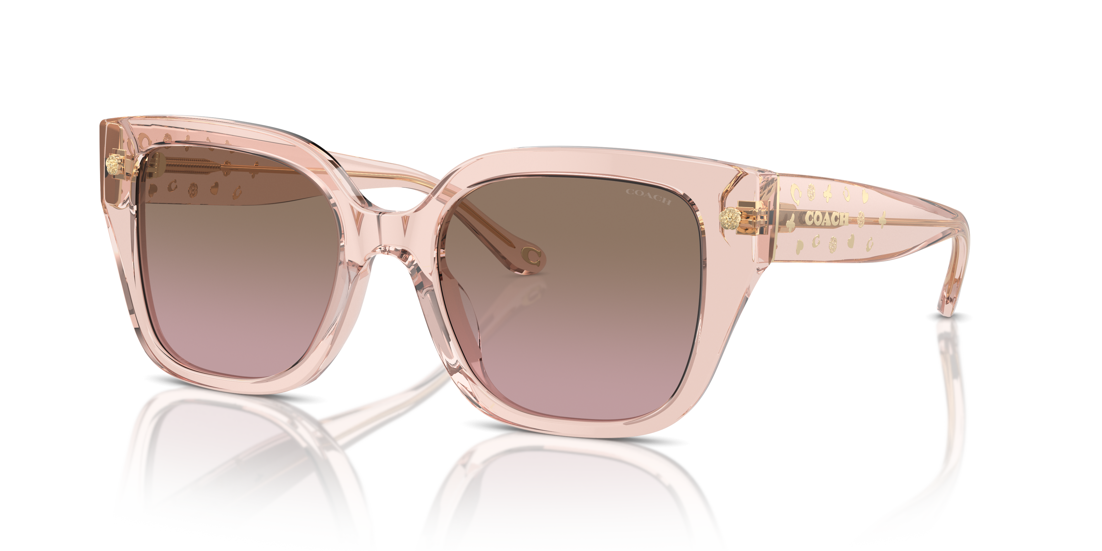 Coach HC8392U CR611 L (53 - 20) with Brown lenses and Pink frame ...