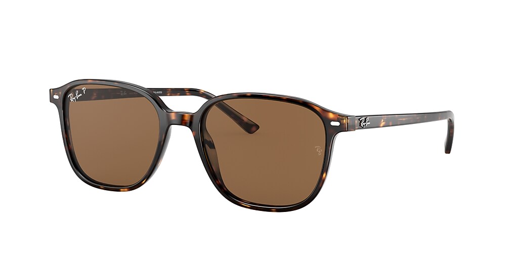 Ray-Ban RB2193 Leonard 53 B-15 Brown & Tortoise Polarised Sunglasses ...