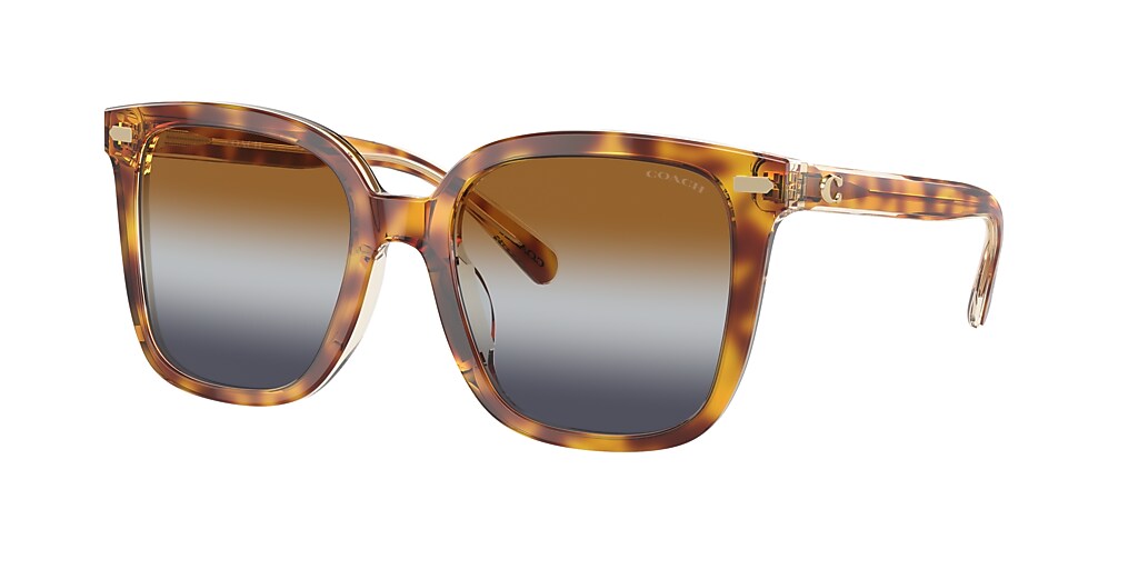 Coach HC8381U CL918 54 Blue & Brown Sunglasses | Sunglass Hut USA