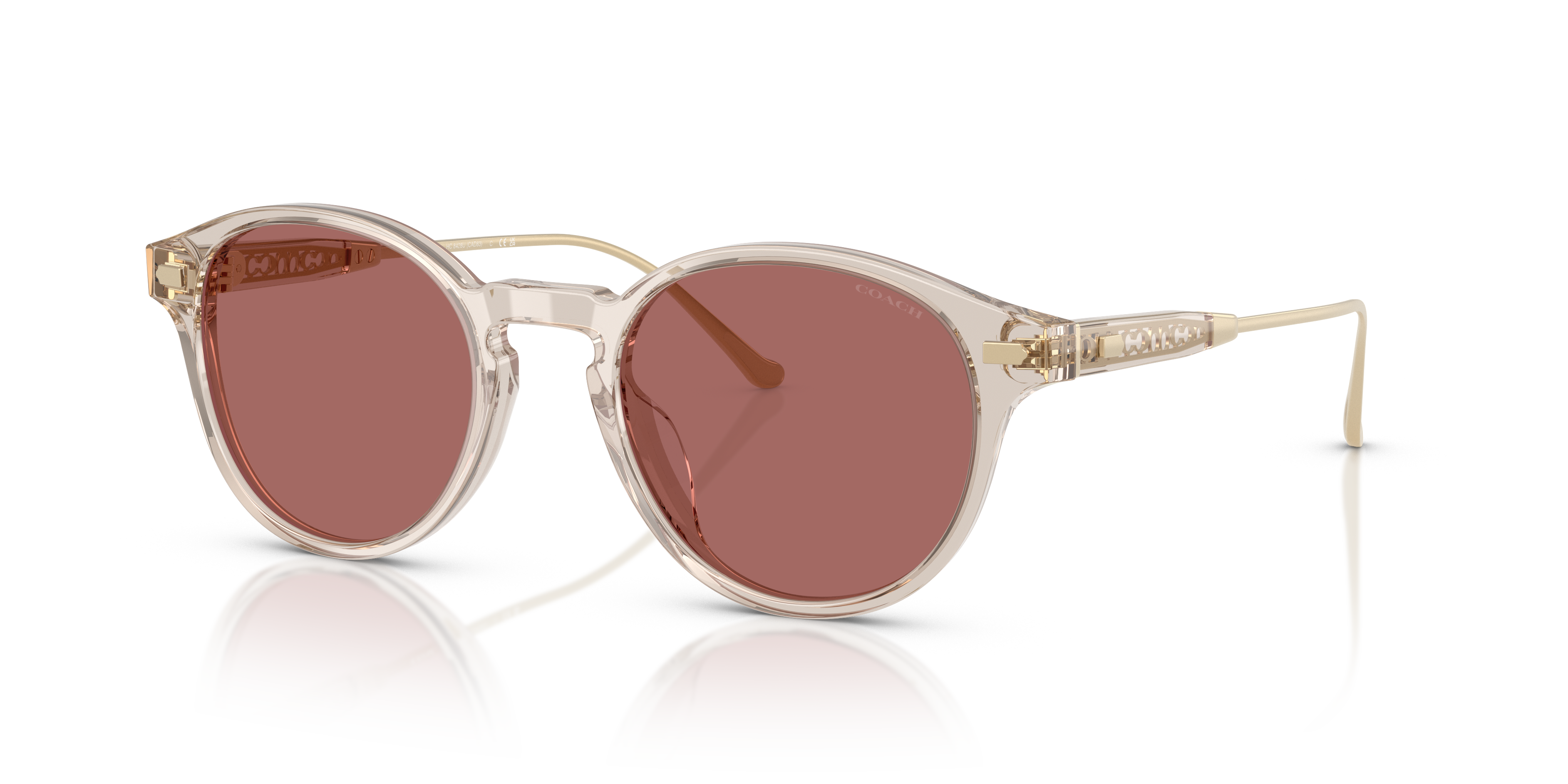 Coach HC8428U CAD83 S (50 - 21) with Violet lenses and Brown frame ...